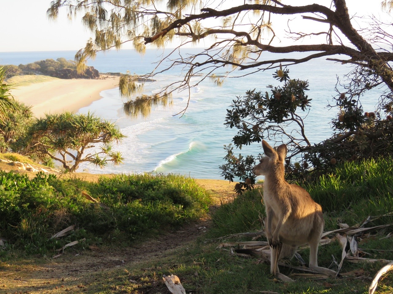 New cultural and ecotourism experiences on Minjerribah
